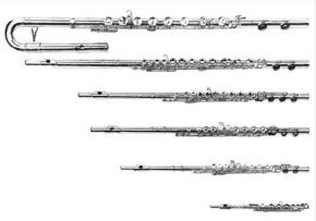 Flute Bags – Altieri